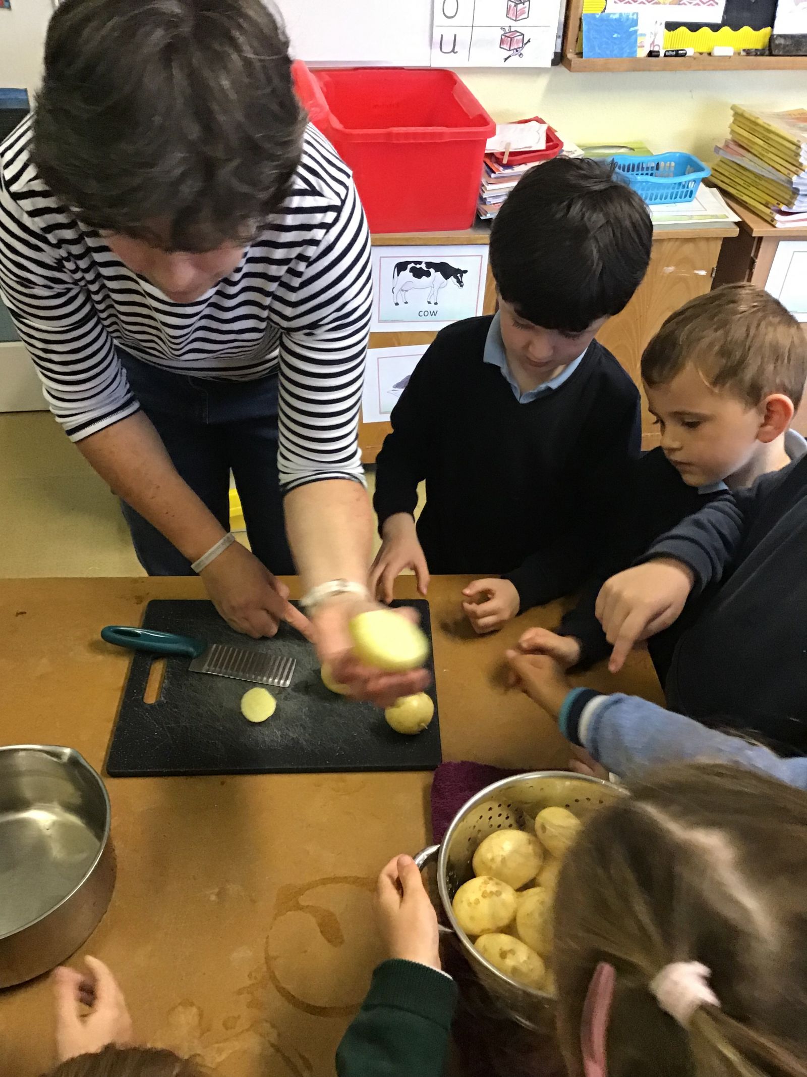 Health Promoting Schools