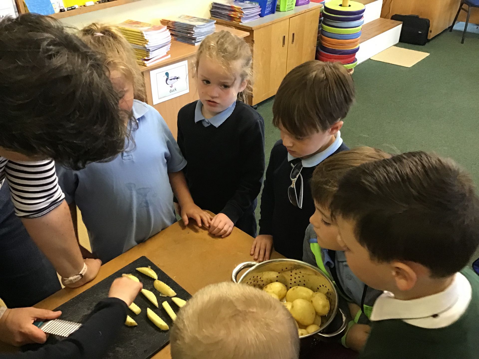 Health Promoting Schools